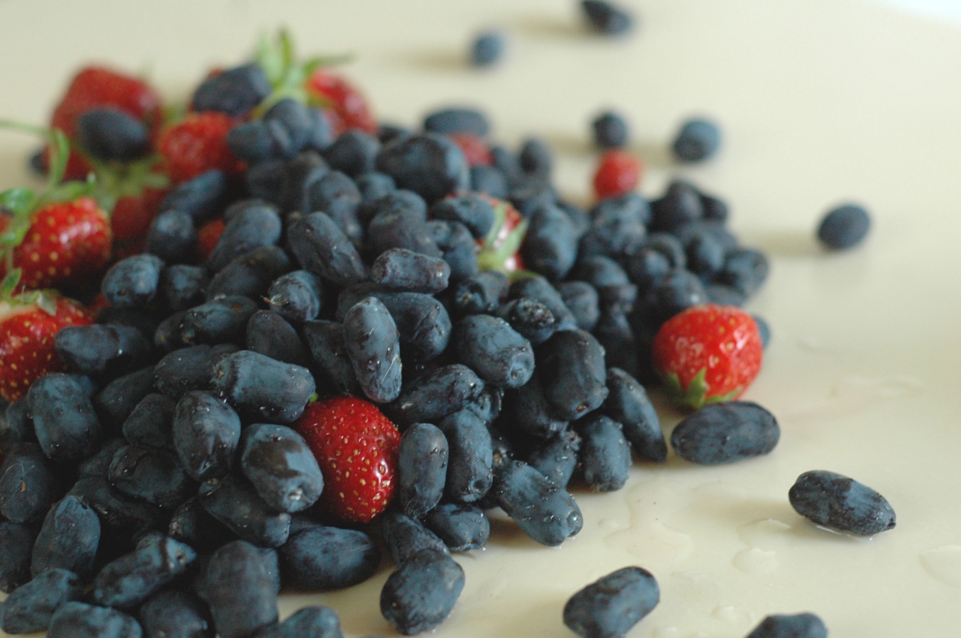 Small Batch Jam – Tiny Peasant