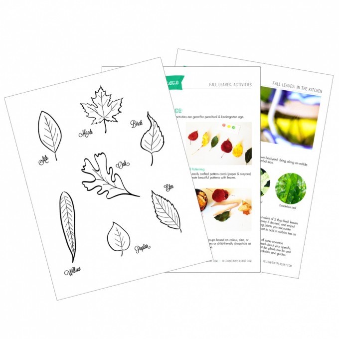 Fall Leaves Inspiration Pack – Tiny Peasant
